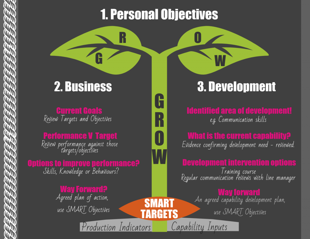 Performance Management – How to Turn Goals into Action (including the ...